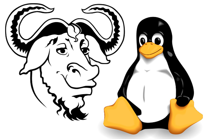 ¿Qué es Linux y para qué sirve? - Definición